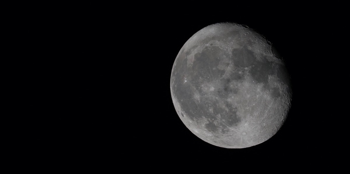 Birds and the Moon | Everything's JOK